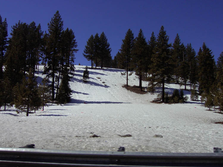 Lake Tahoe Sledding Hills - Spooner Summit
